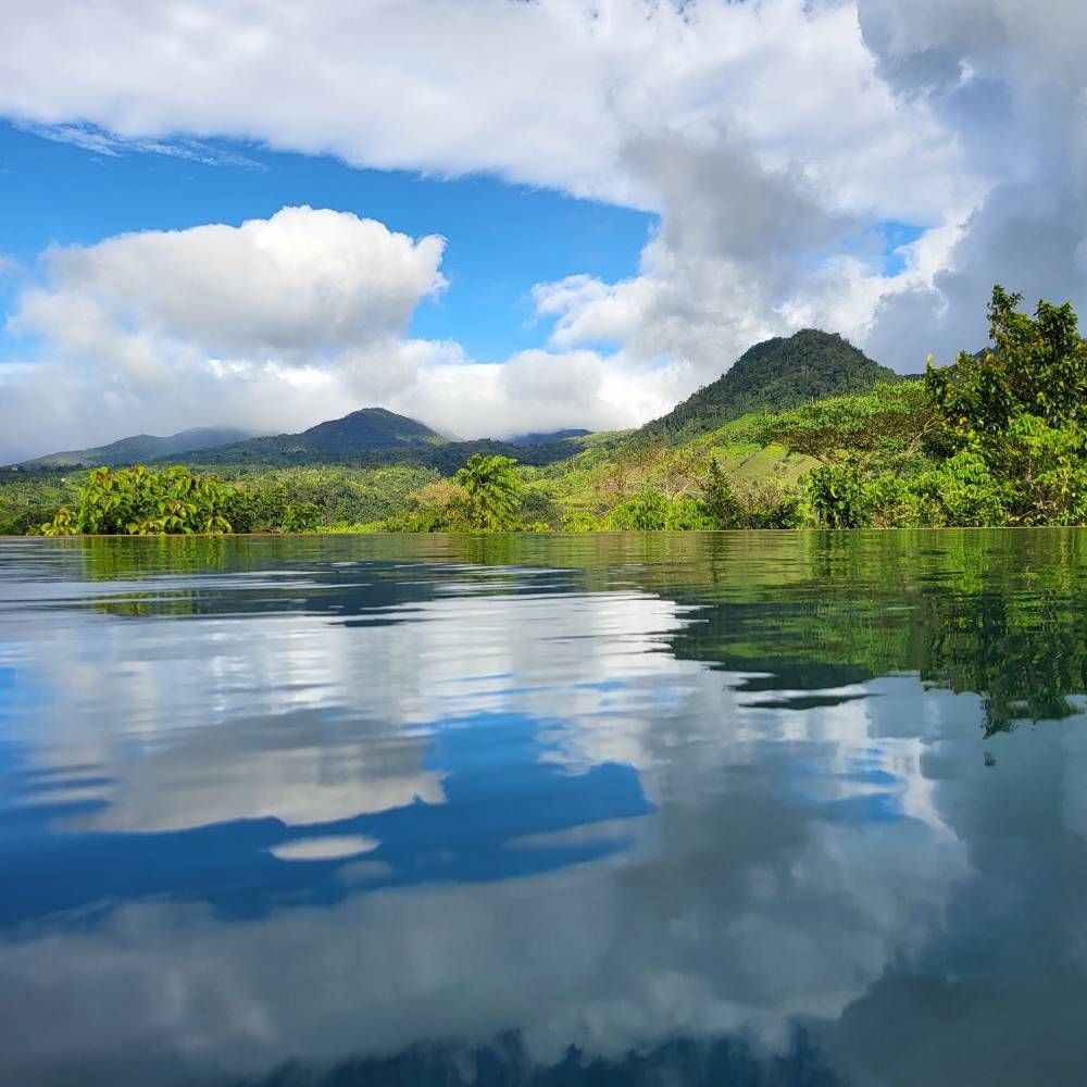 Reflections... - Samsung Members