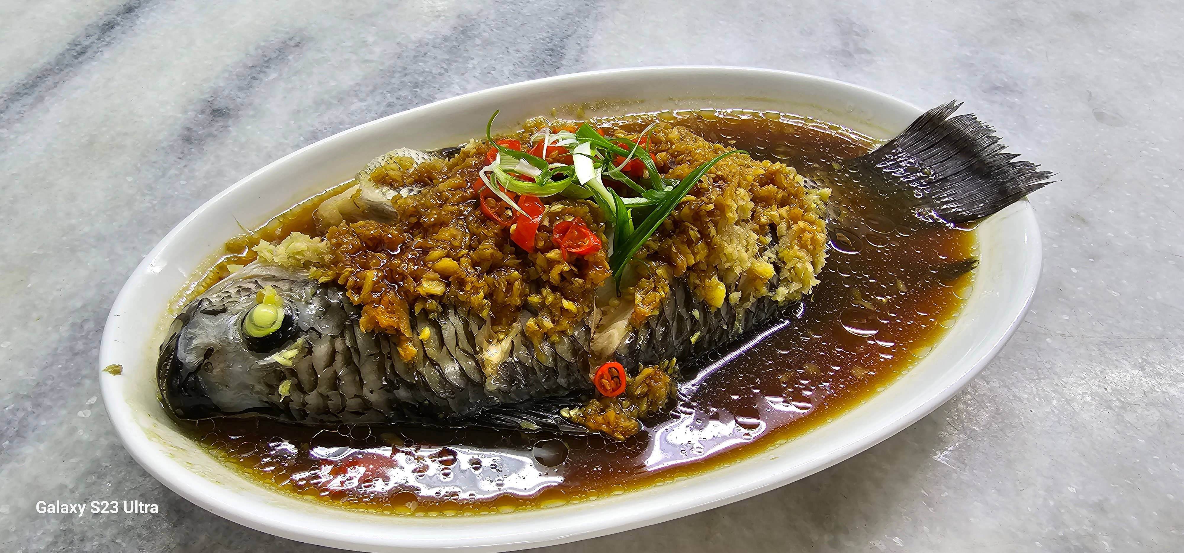 Famous Kampung Fish - Samsung Members