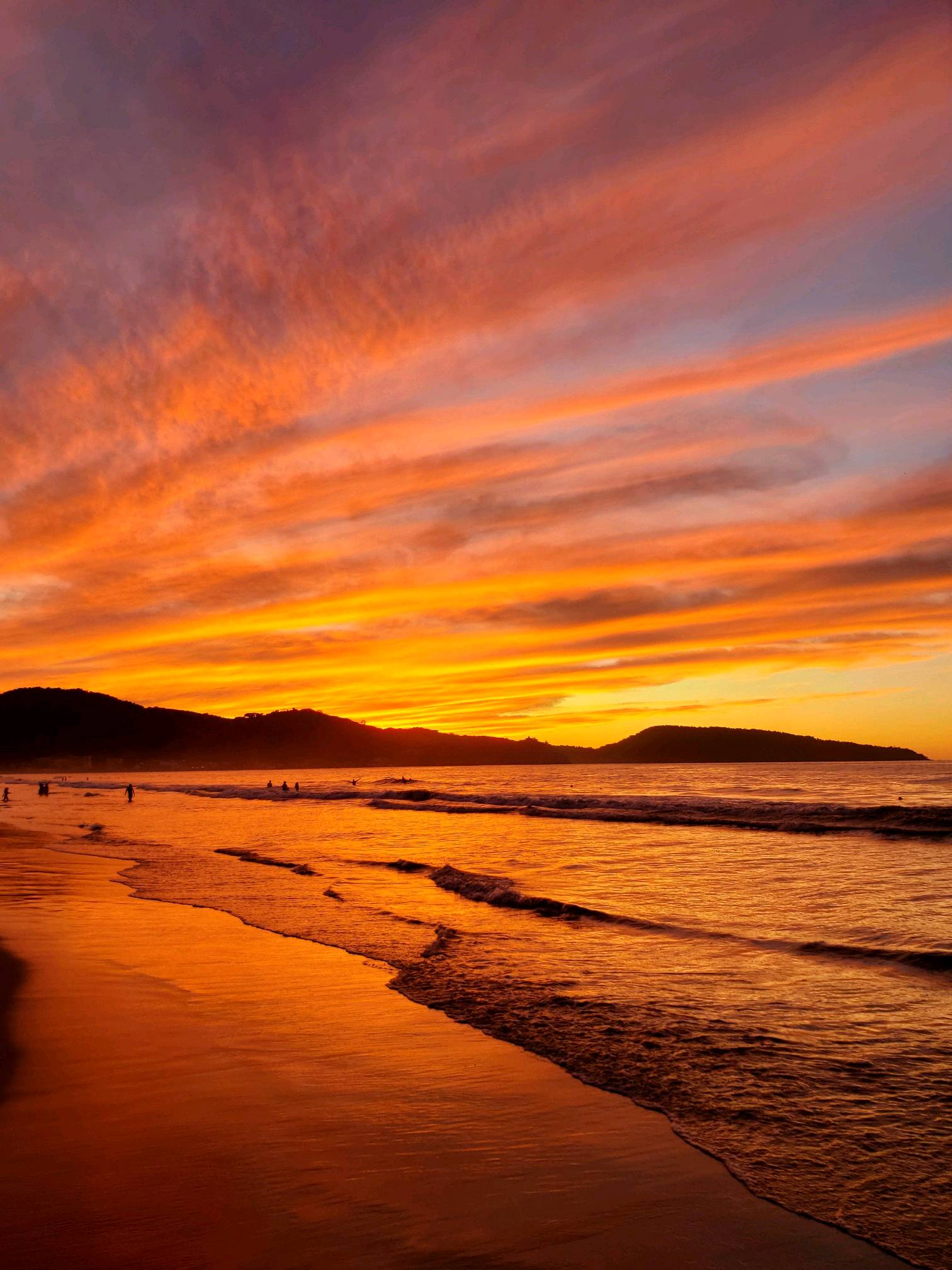 atardecer - Samsung Members