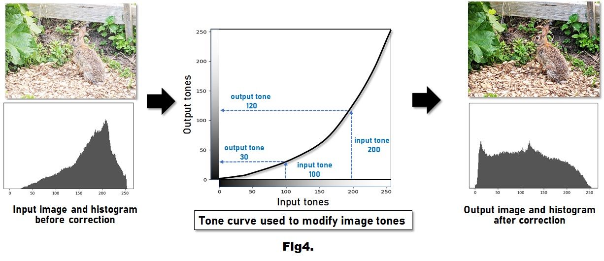 Understanding tones and tone enhancement for vibra... - Samsung Members