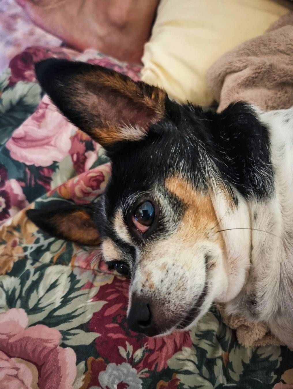 Editing a tiff file using Galaxy Gallery app - Samsung Members