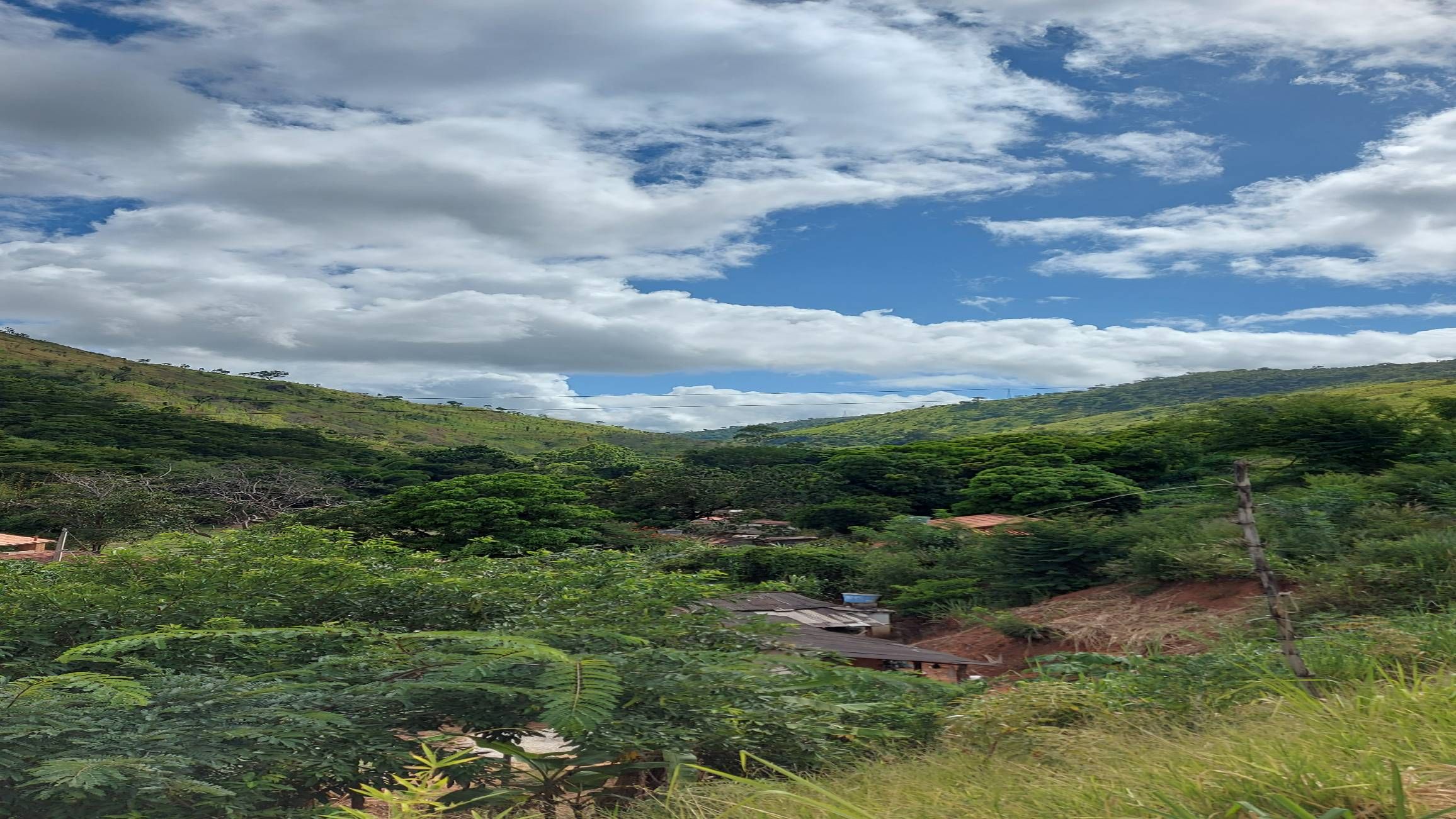 Linda foto - Samsung Members