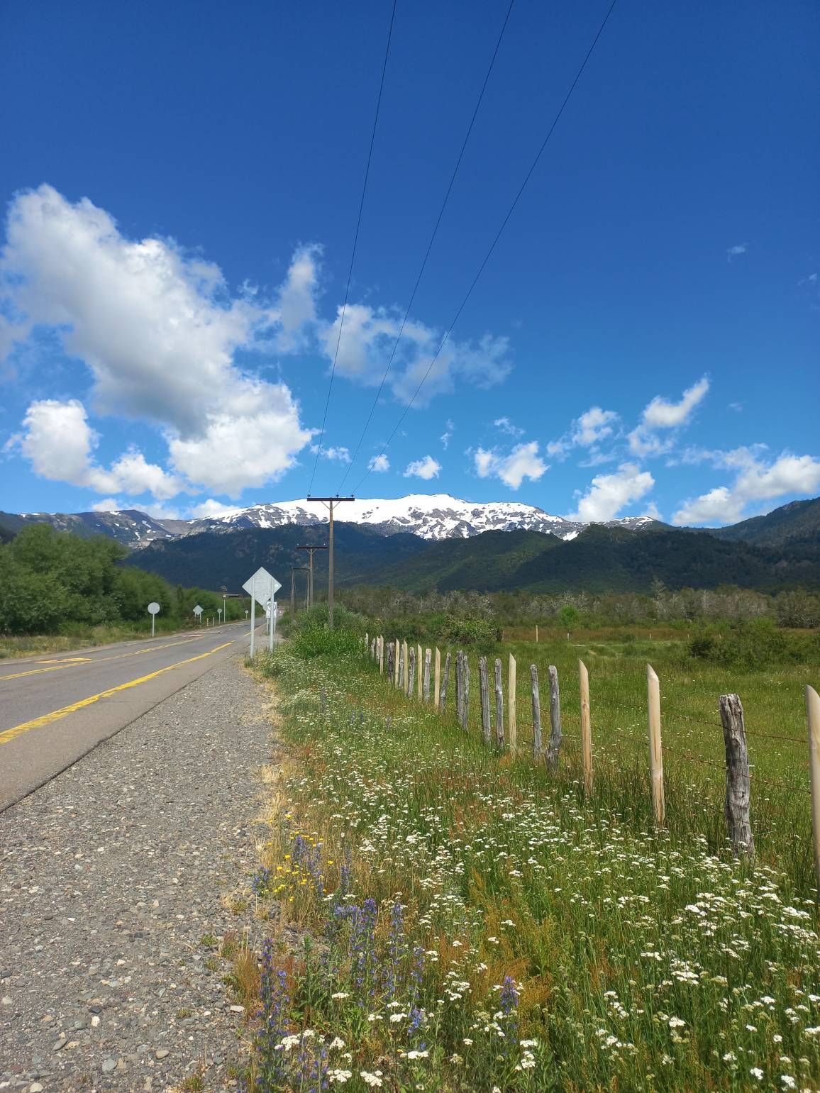 Probando los distintos modos de lentes(SA32) - Samsung Members