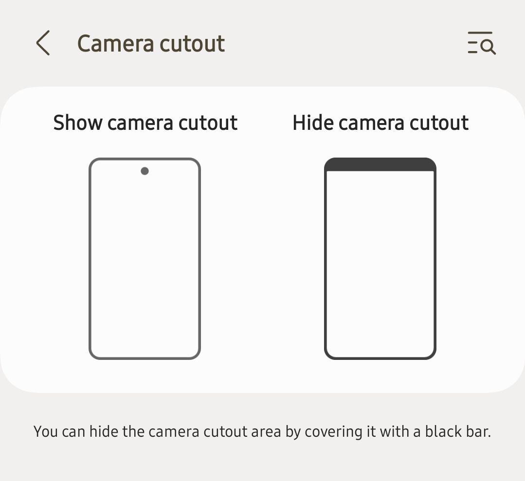 Camera cutout - Samsung Members