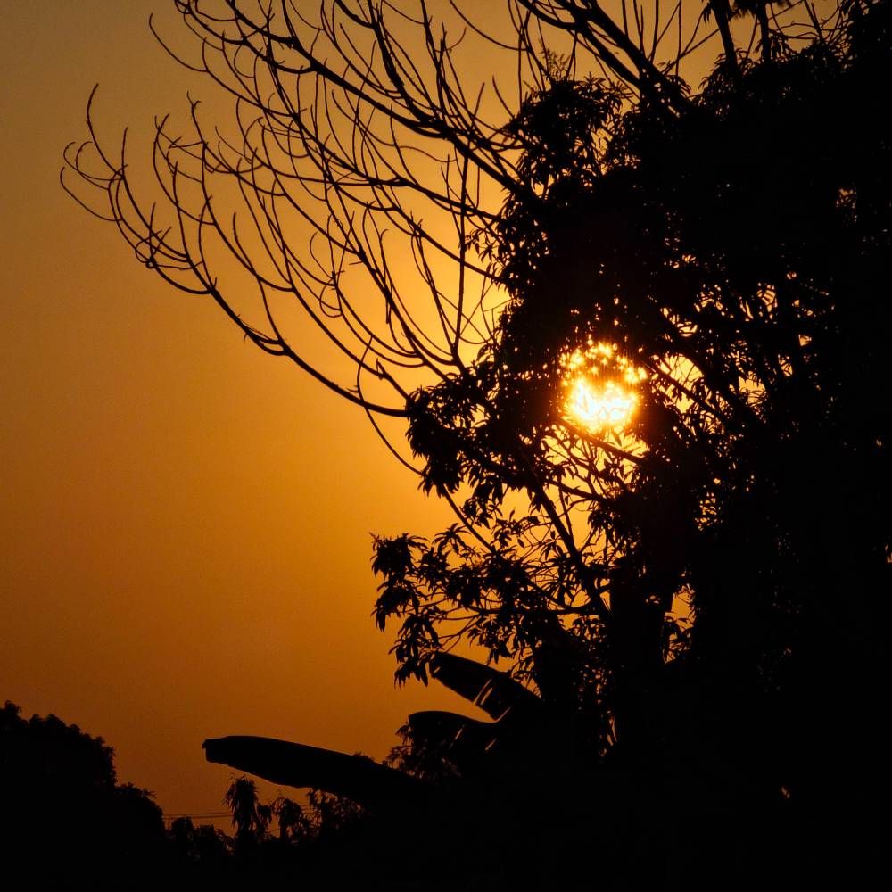 The Dying Glow before Nightfall - Samsung Members