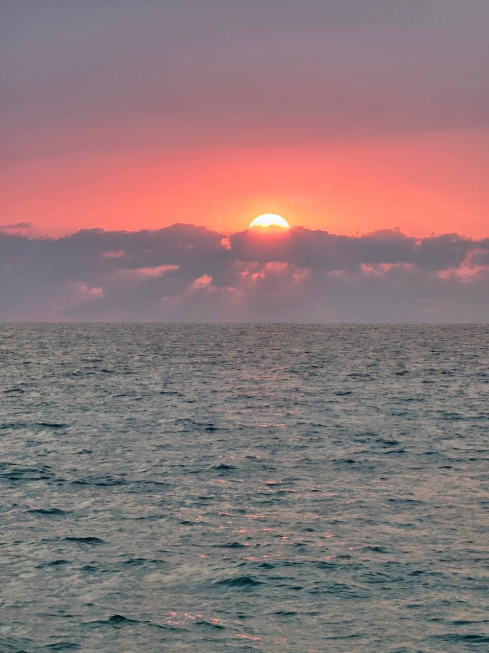 Sunset Samsung Members