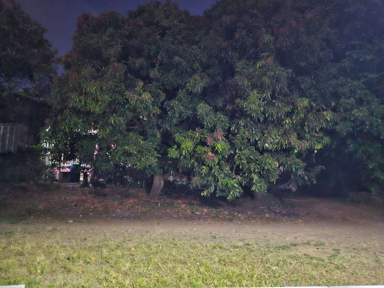 Insane Samsung Members