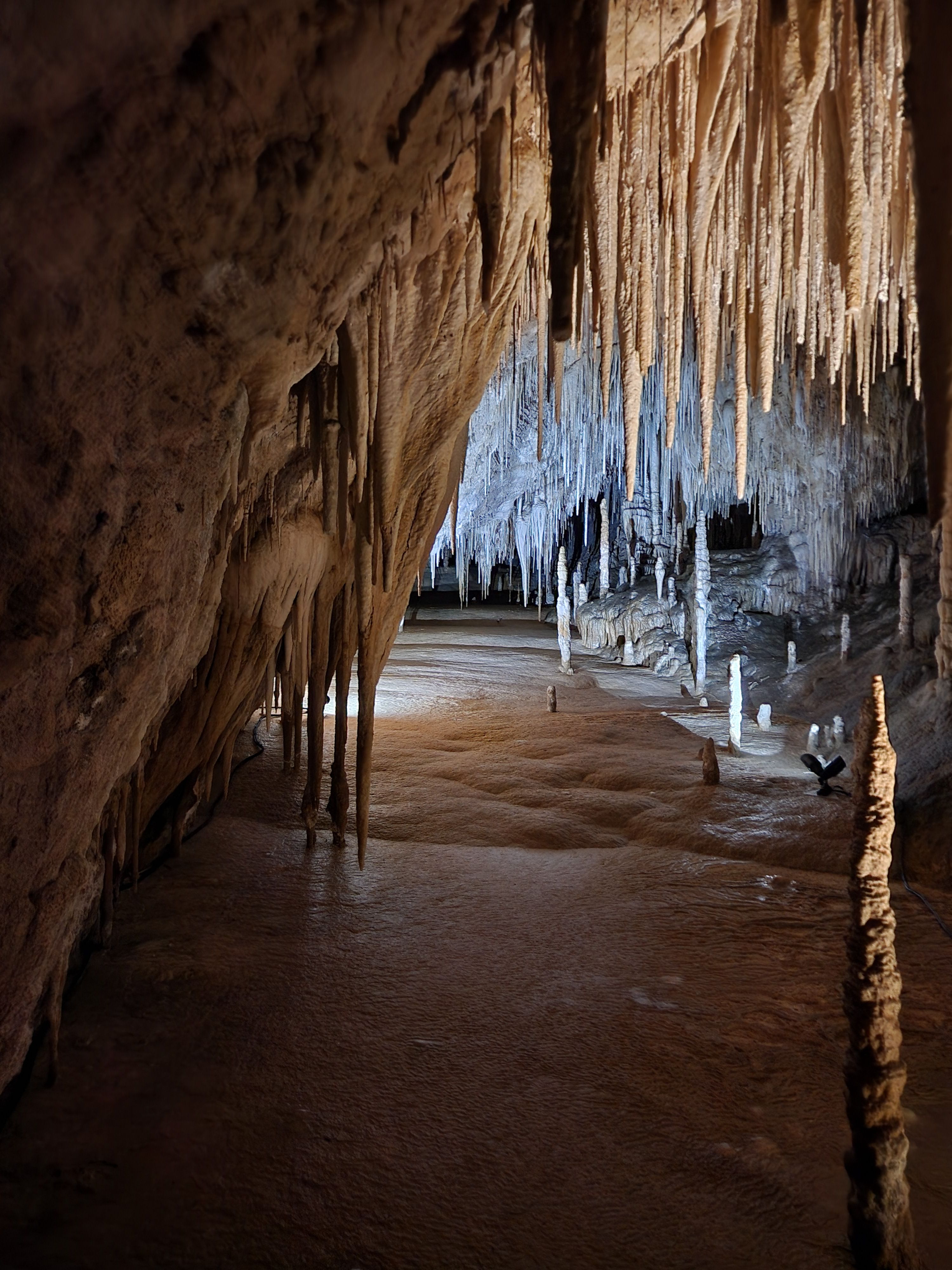 Cave - Samsung Members