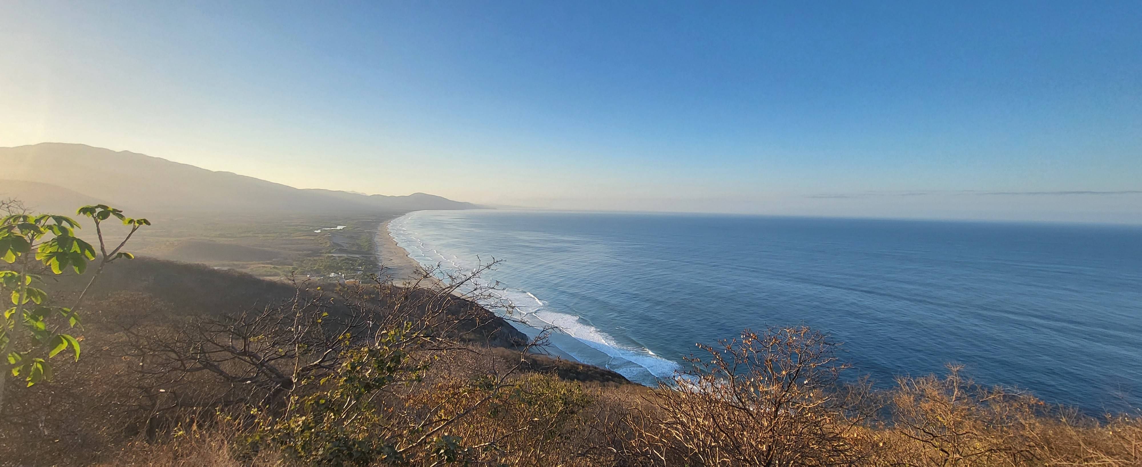 Playa - Samsung Members