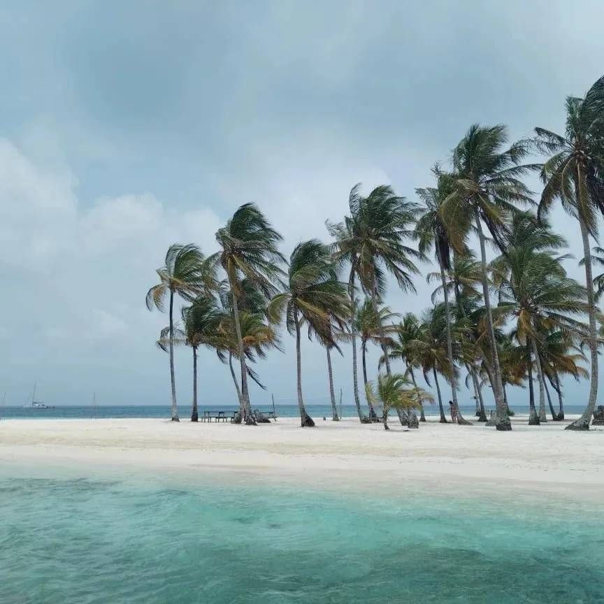 Un día de playa - Samsung Members