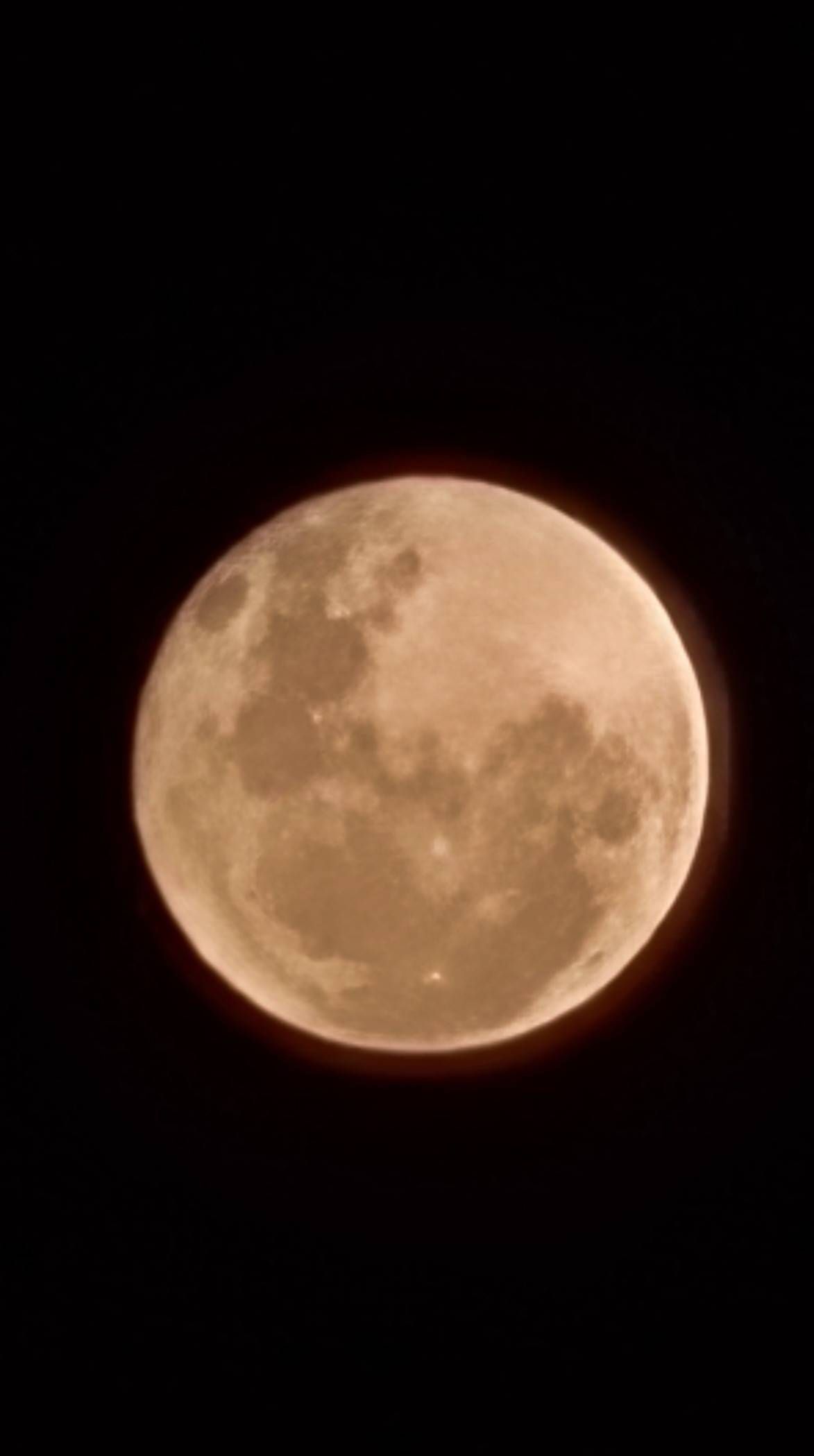 Lua - Samsung Members