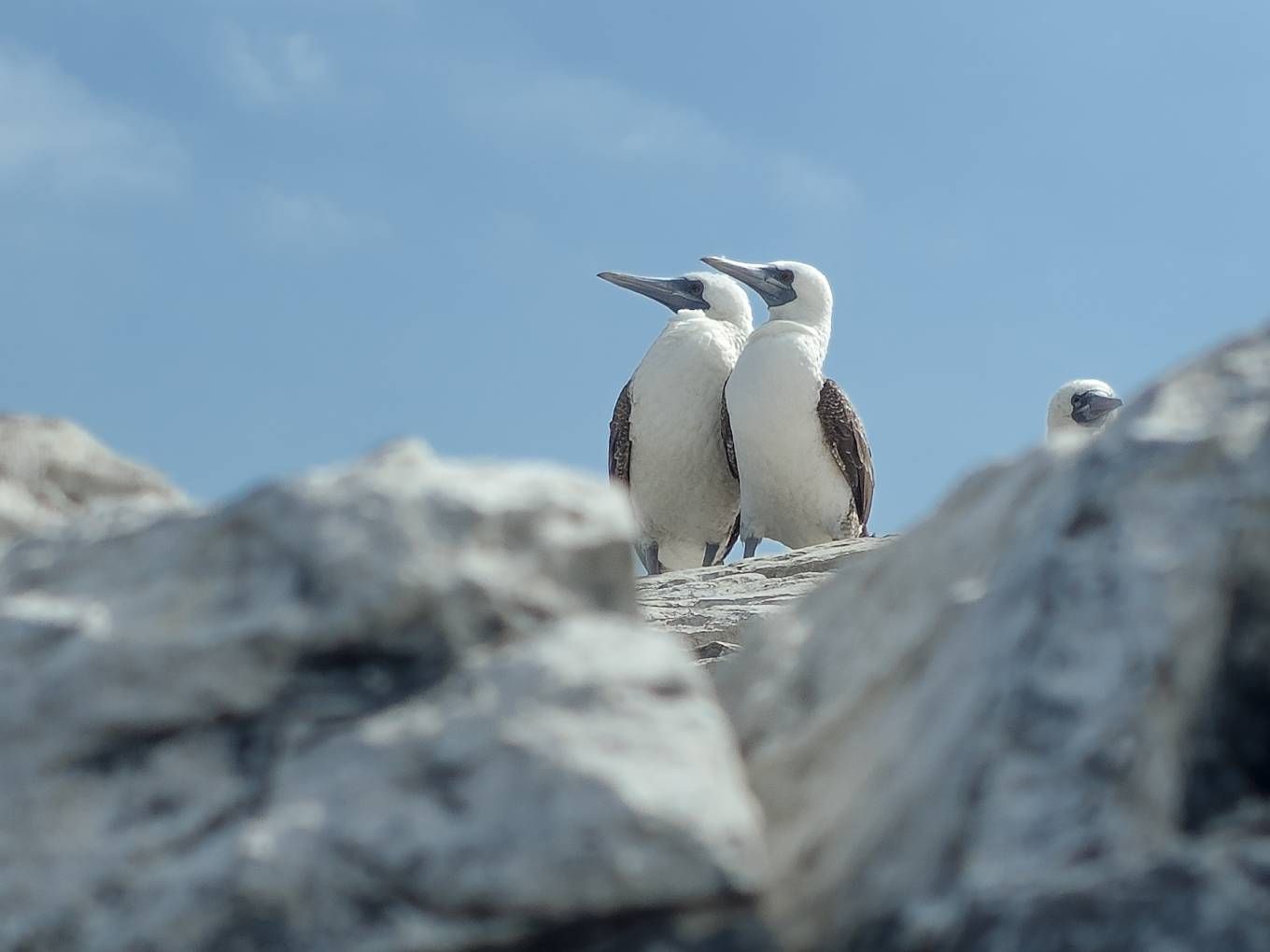 Foto en playa - Samsung Members