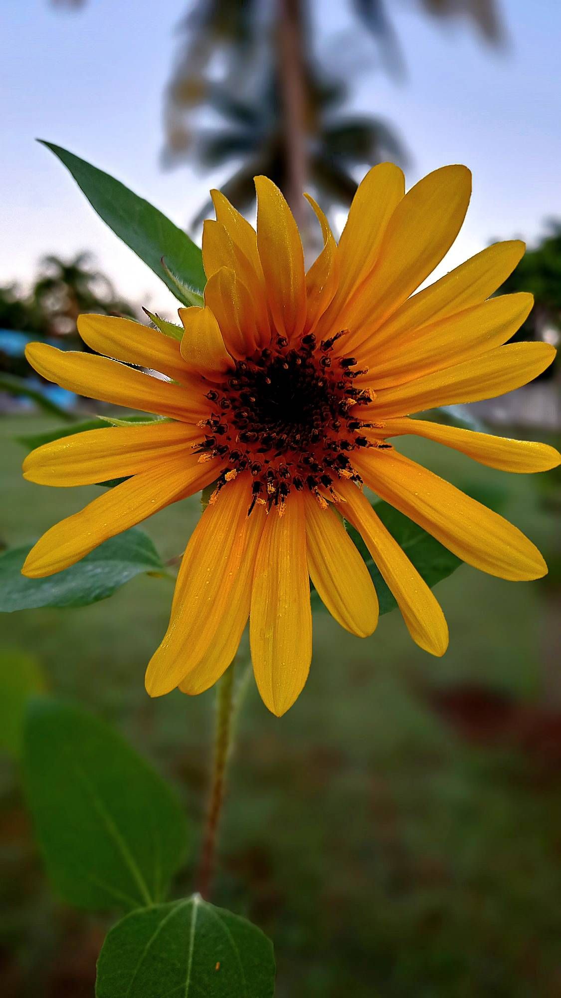 El x30 🥰 y esperando la actualización de junio - Samsung Members