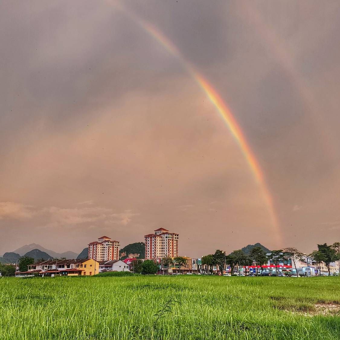 Rainbow - Samsung Members