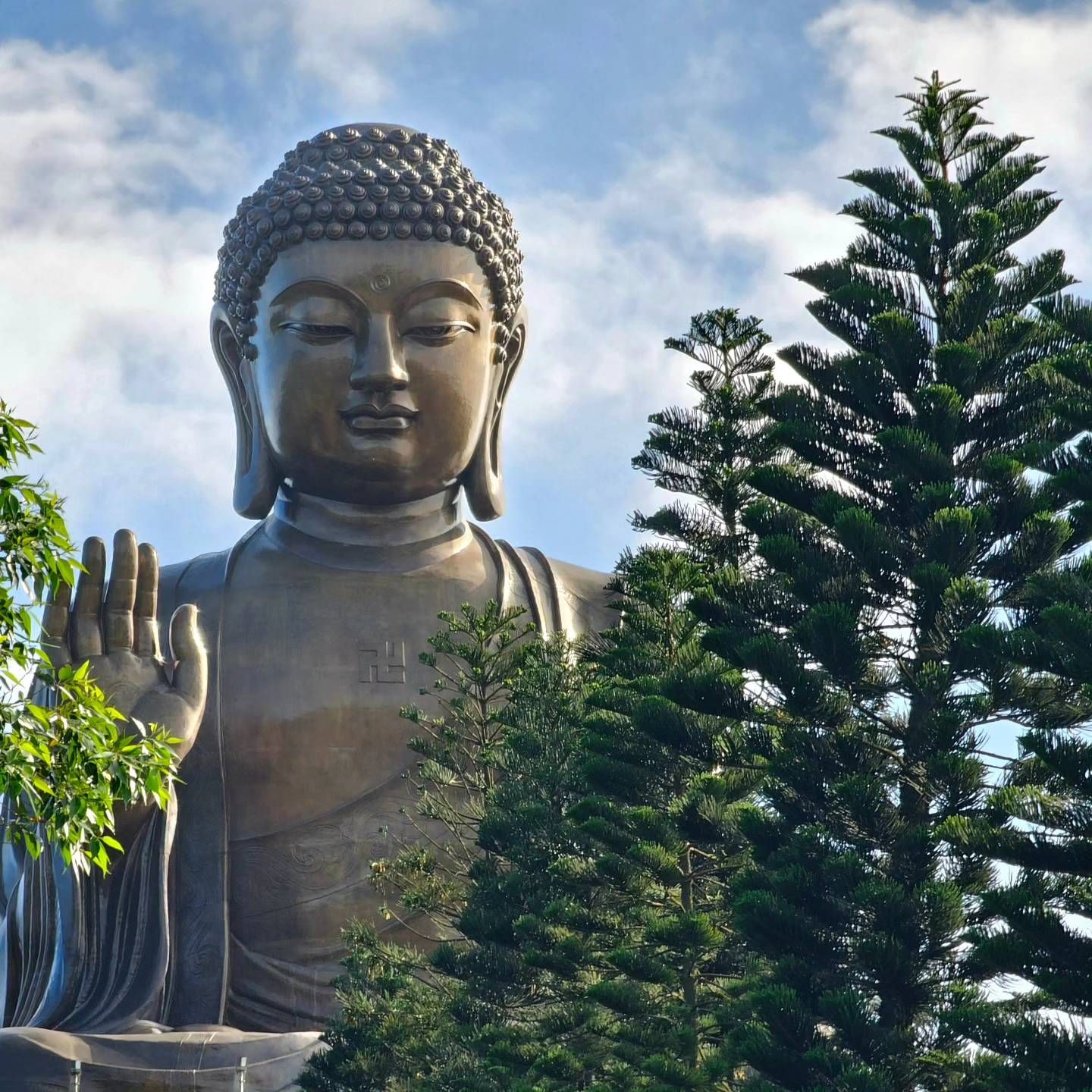 Why having different zoom range is important. - Samsung Members