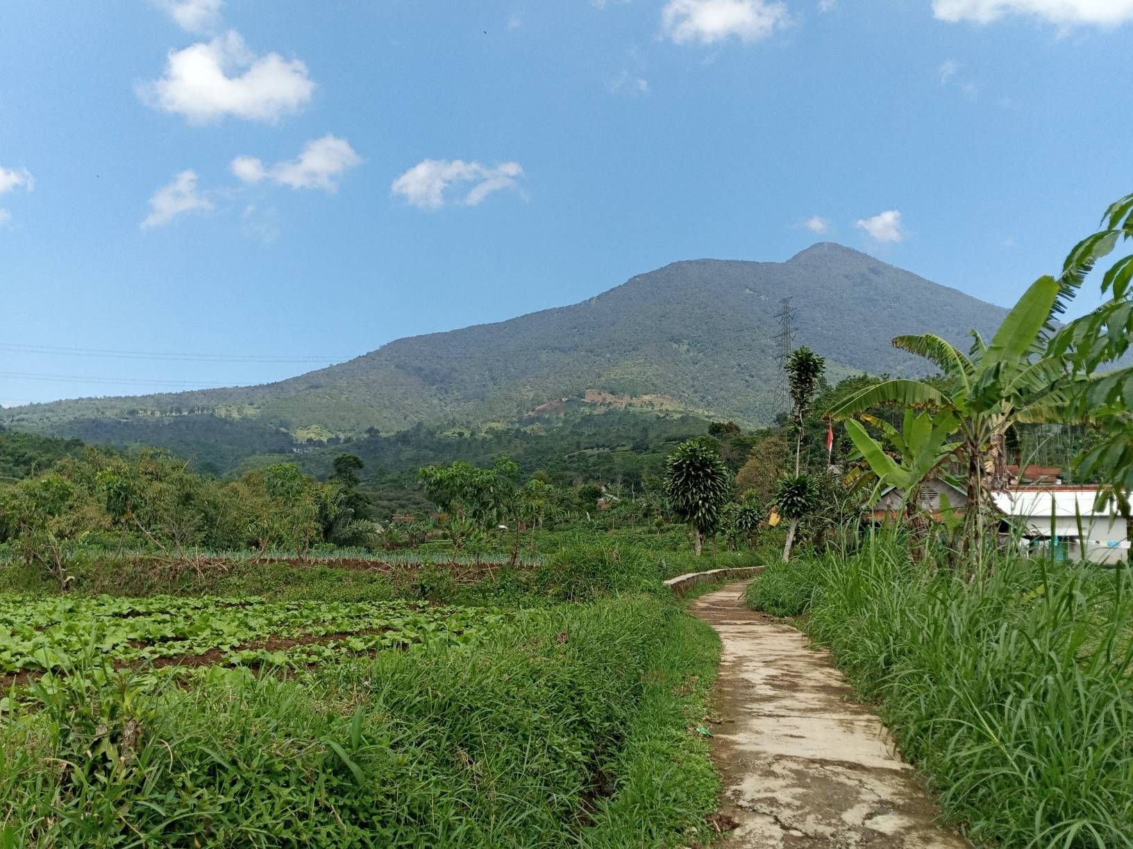 Garut "SWISS VAN JAVA" - Samsung Members