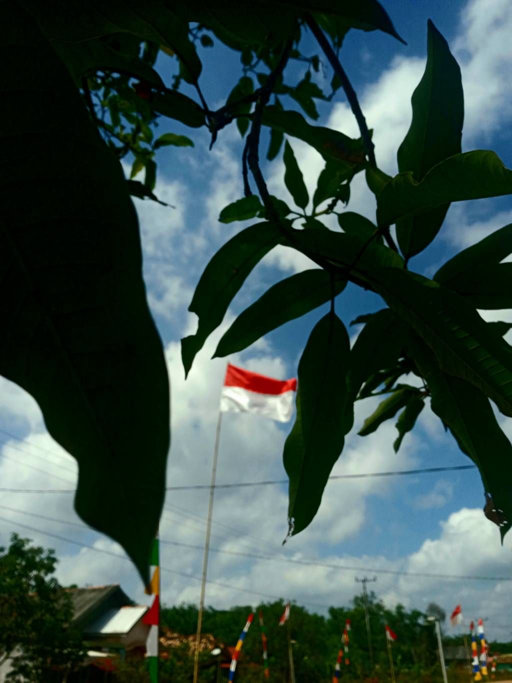 Merah Putih Berkibar - Samsung Members