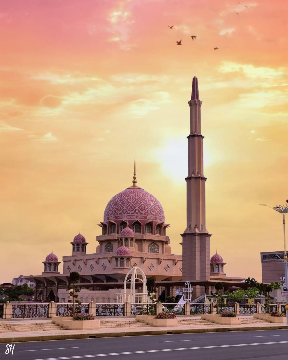 Generative Fill with Adobe Firefly - Samsung Members