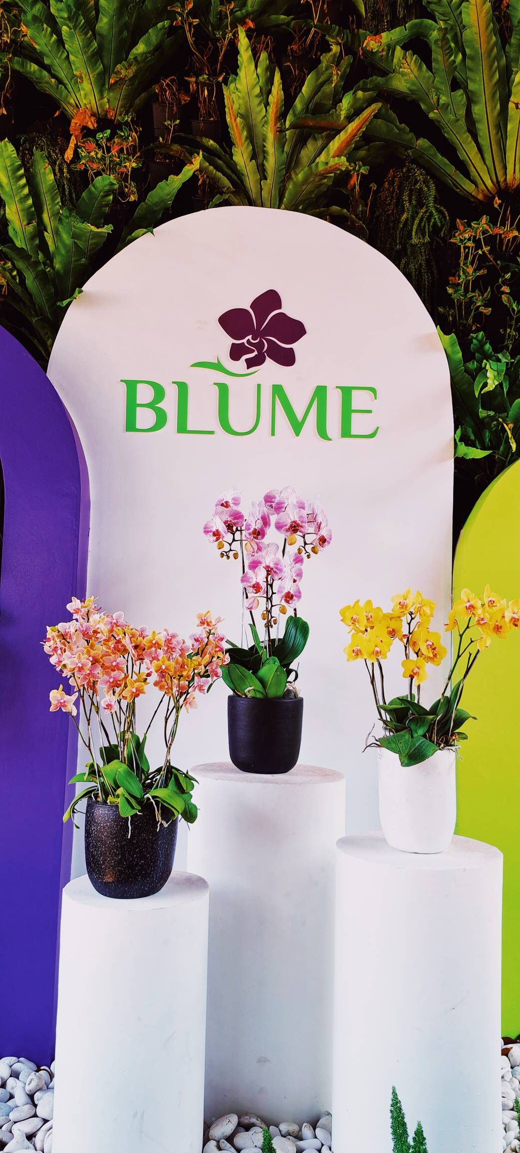 Pameran flora dan fauna Lapangan banteng - Samsung Members