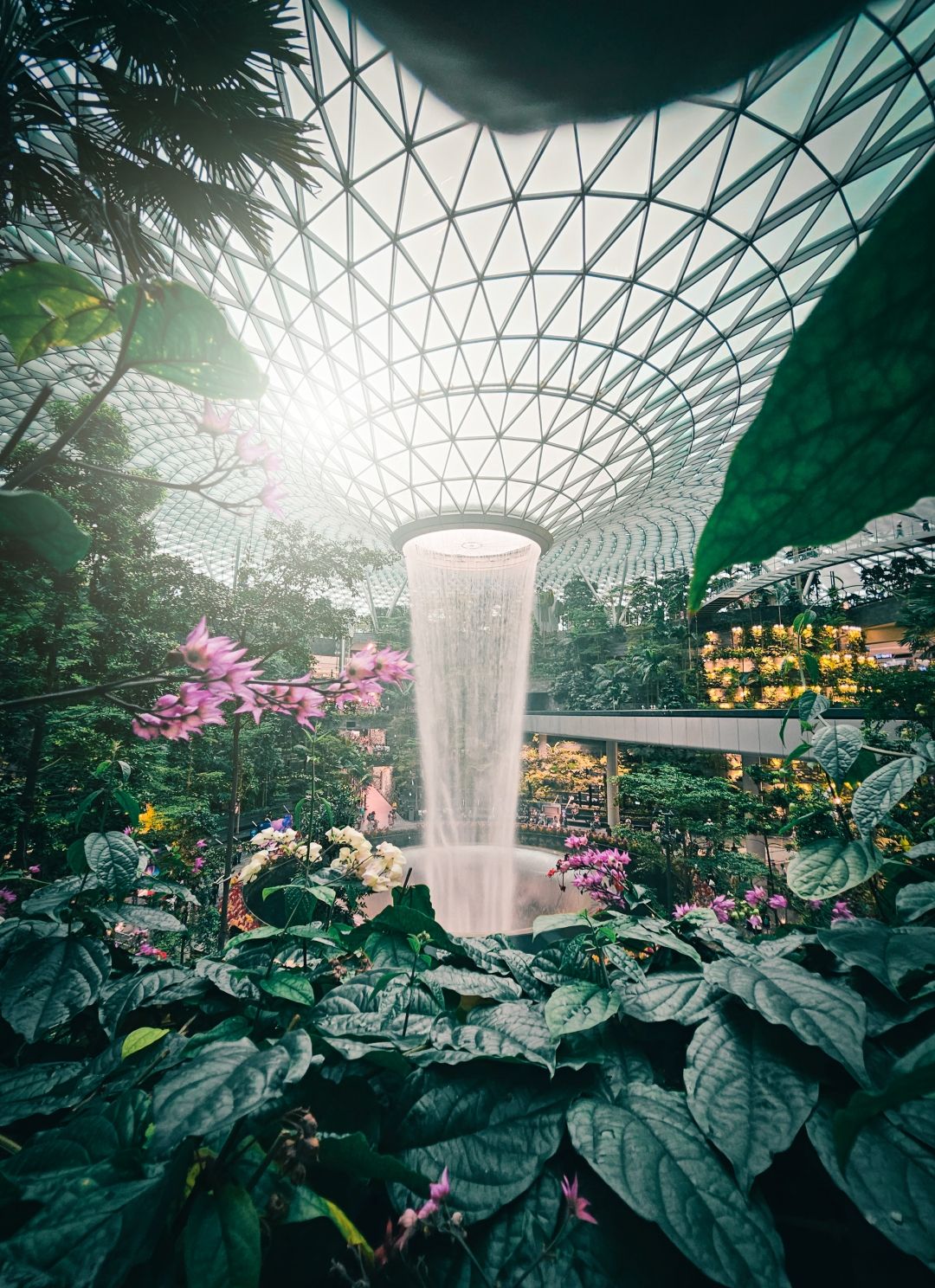 📷 Buat Fotomu dengan Samsung Galaxy ke LEVEL BERI... - Samsung Members