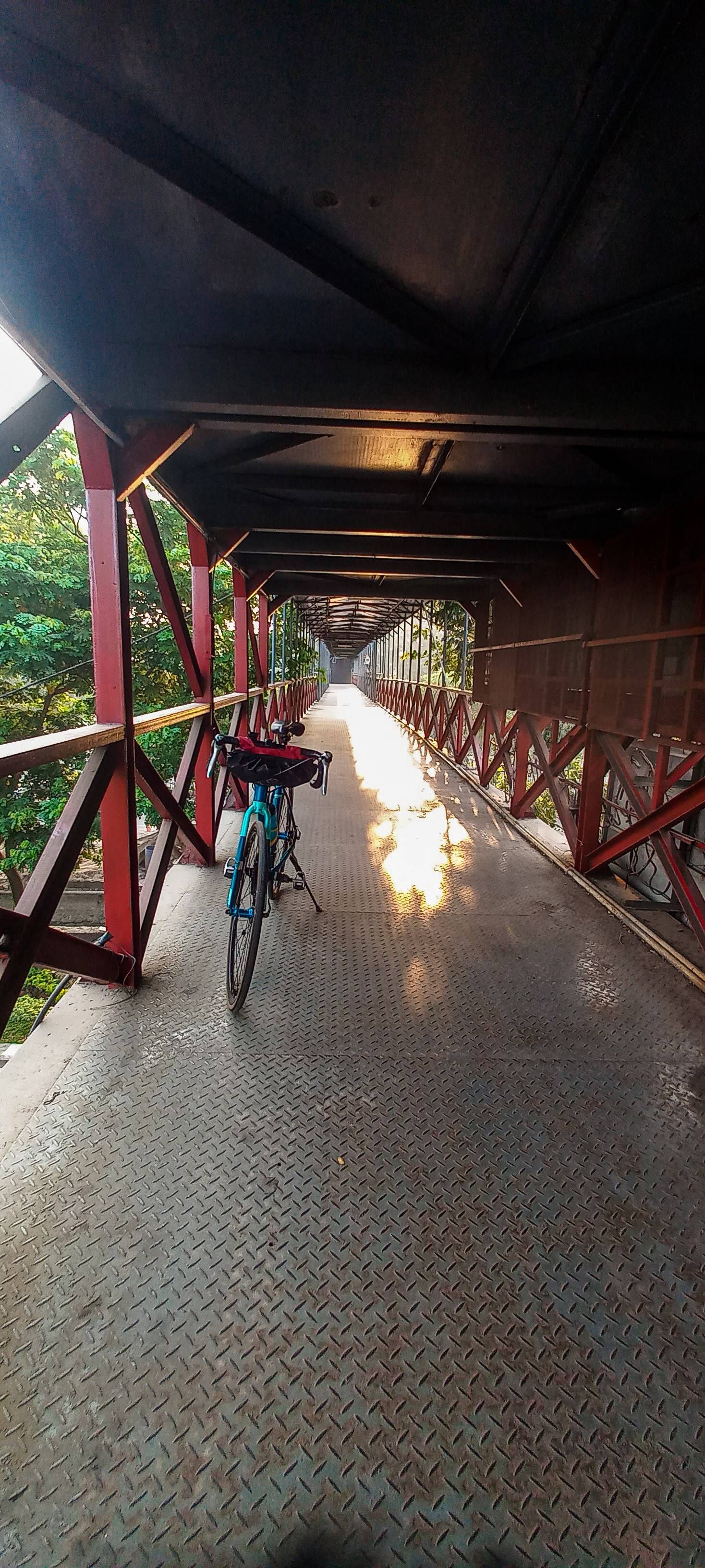 Indahnya Pagi dan Sejuknya Udara🌿 - Samsung Members