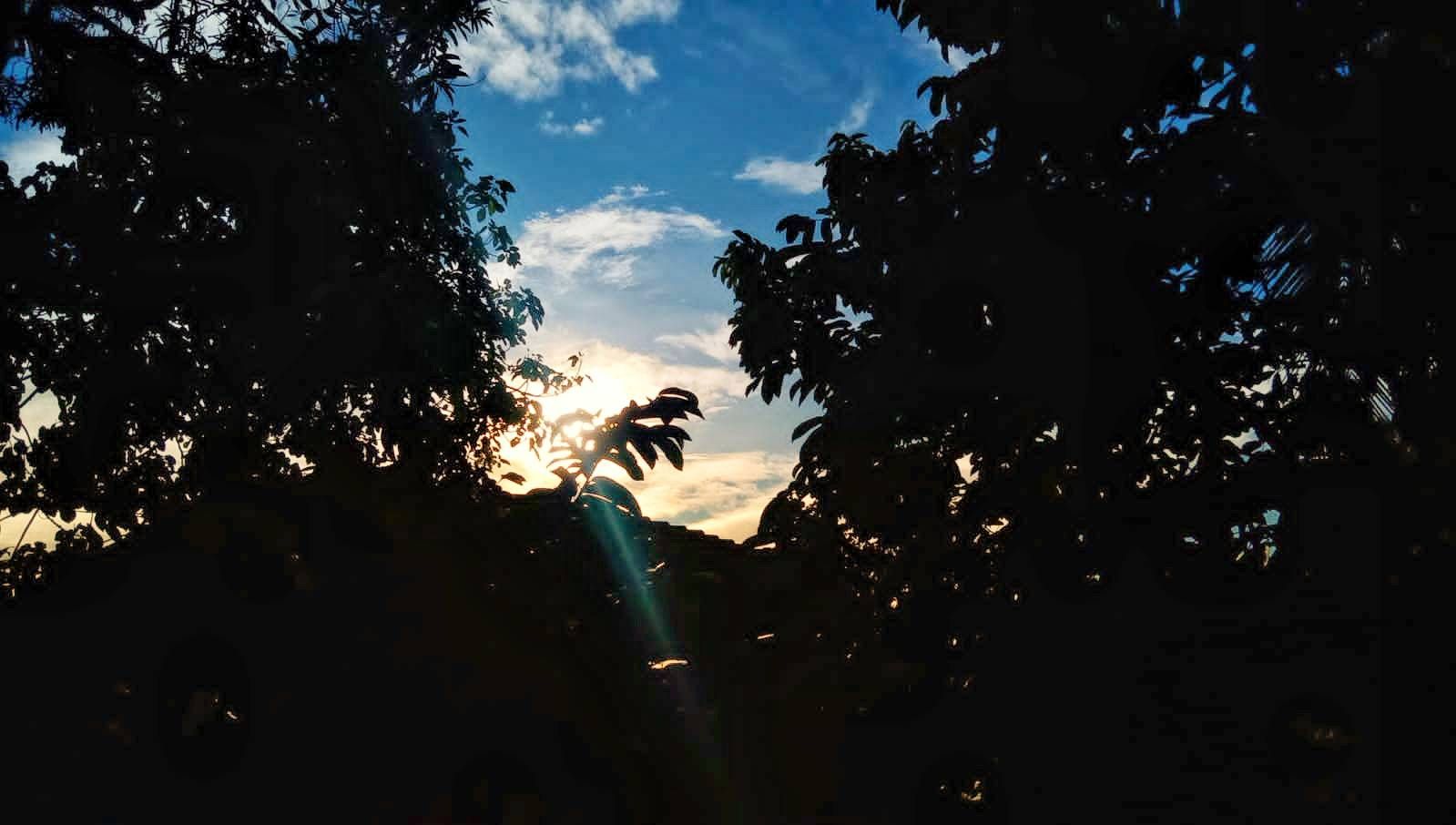 ☁️🌍🌝 una linda tarde en Ant - Samsung Members