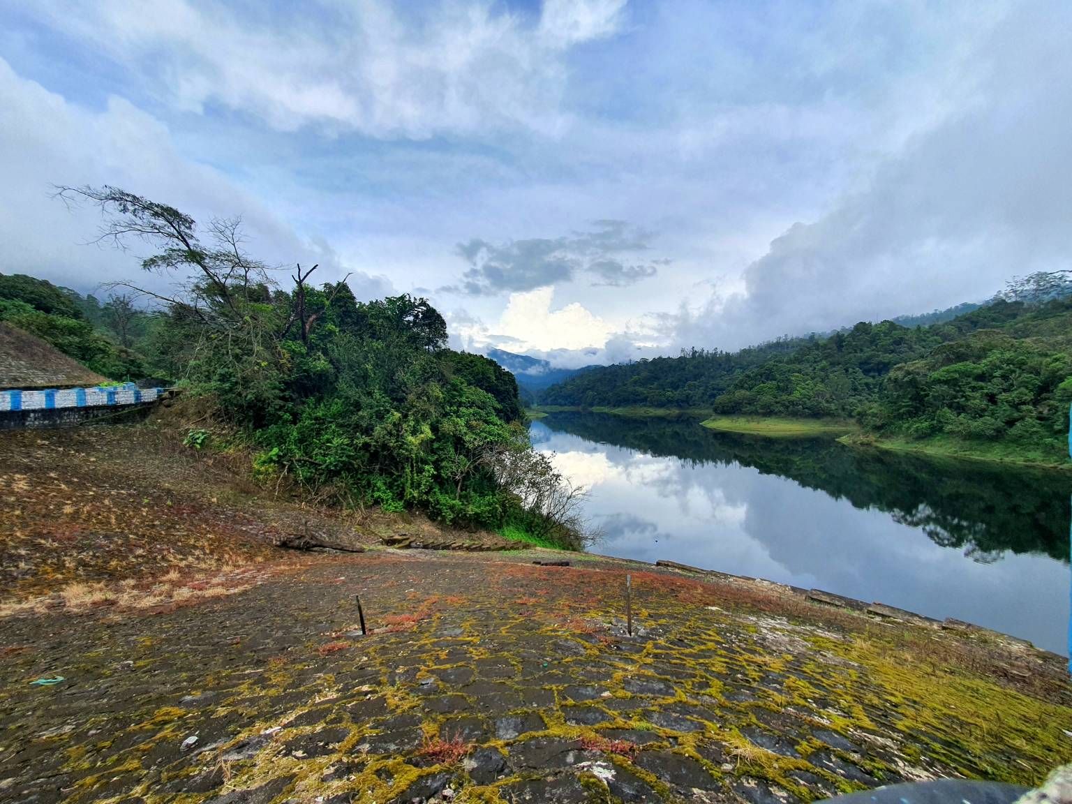 Reflection - Samsung Members