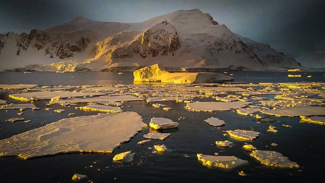 Antarctica: A Frozen Ecosystem Unveiled - Samsung Members