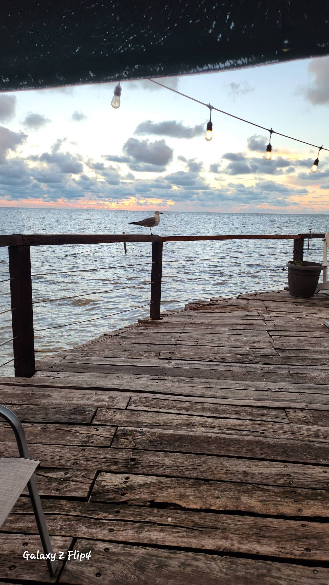 Playa - Samsung Members