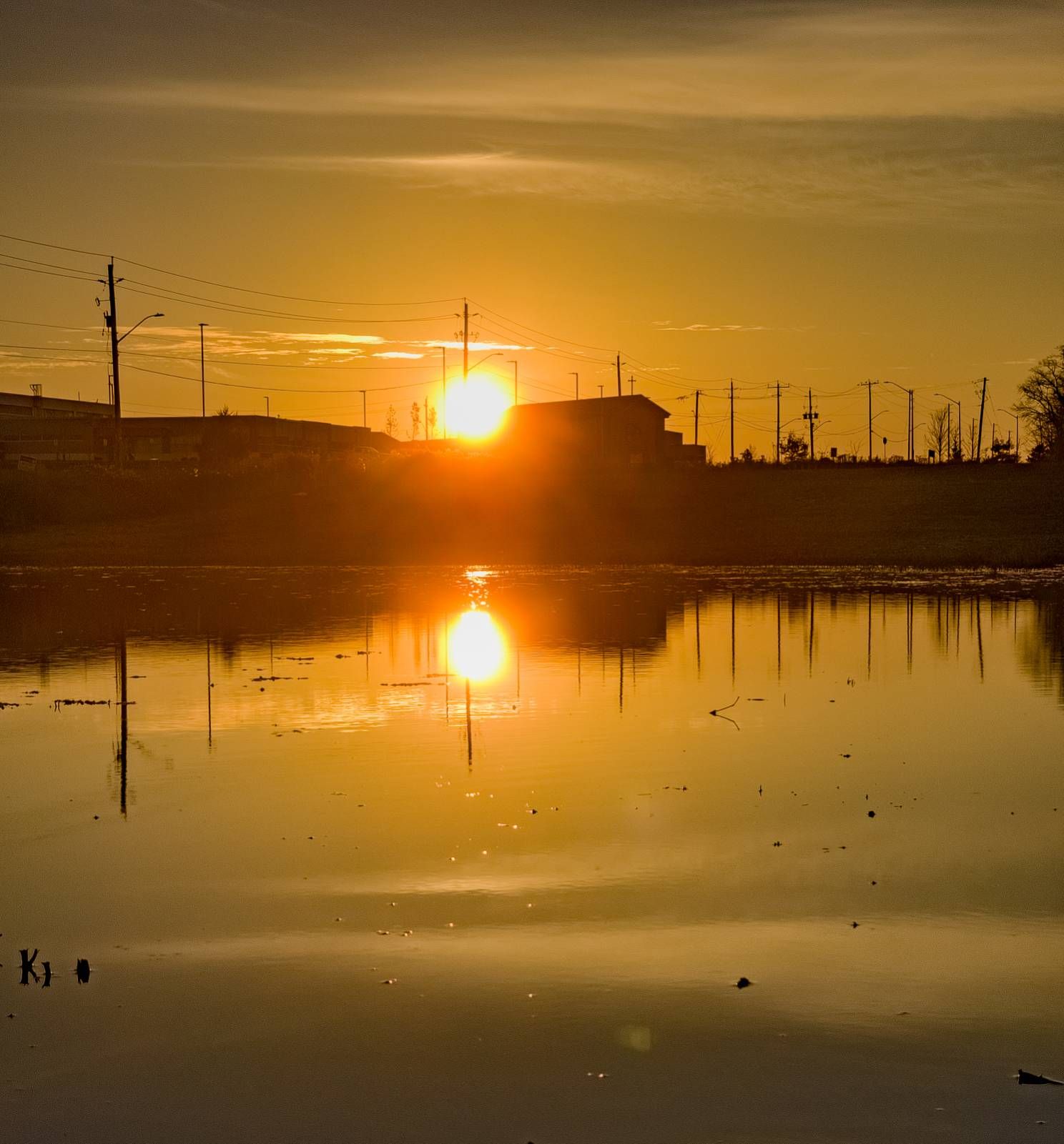 Golden reflection - Samsung Members