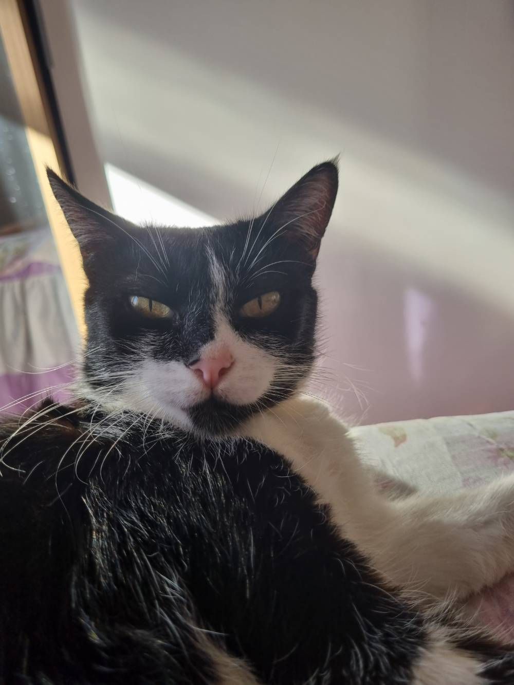 Lord dustin - Samsung Members