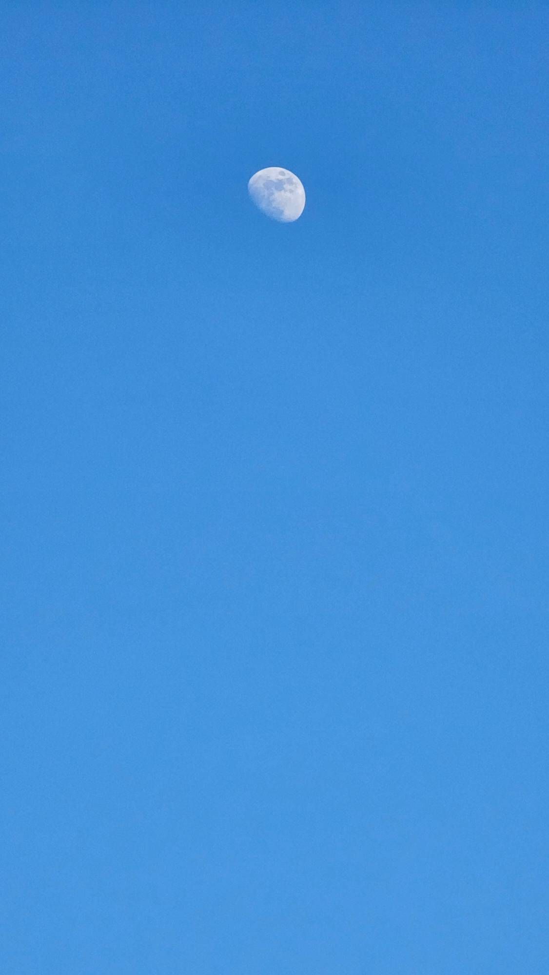 Moon🌕 - Samsung Members