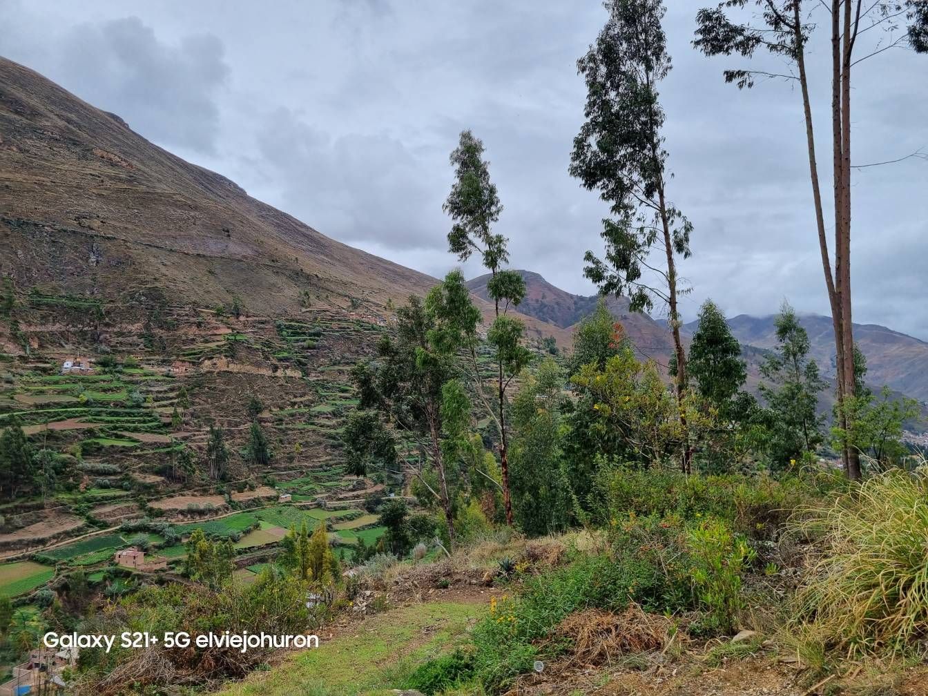 Tarma - Samsung Members