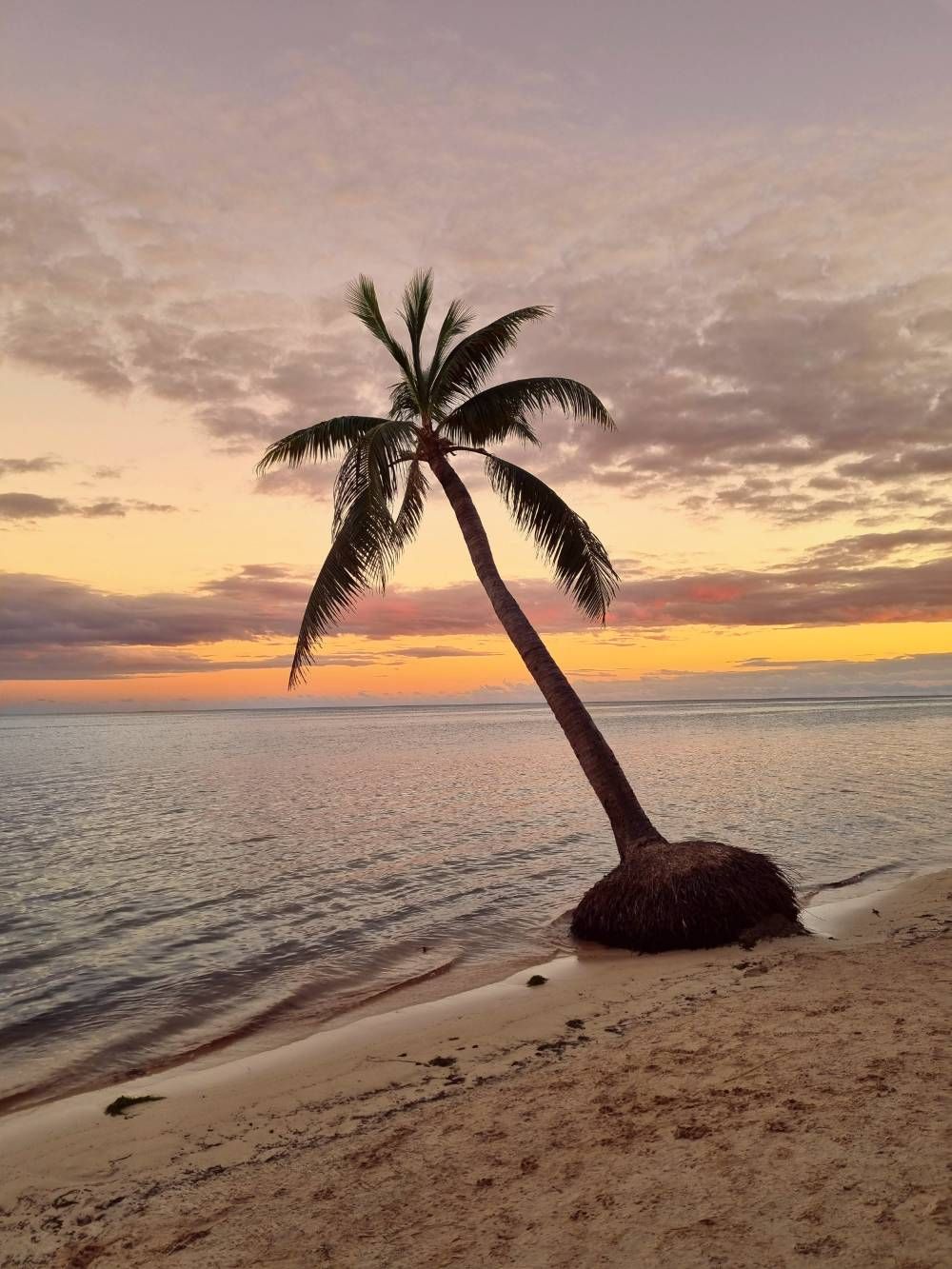 Playa - Samsung Members