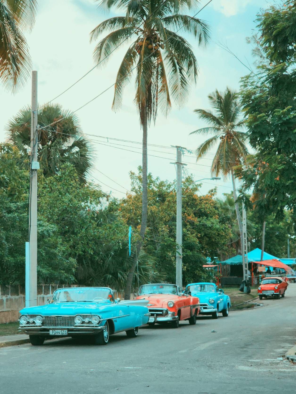 Cuba Varadero - Samsung Members