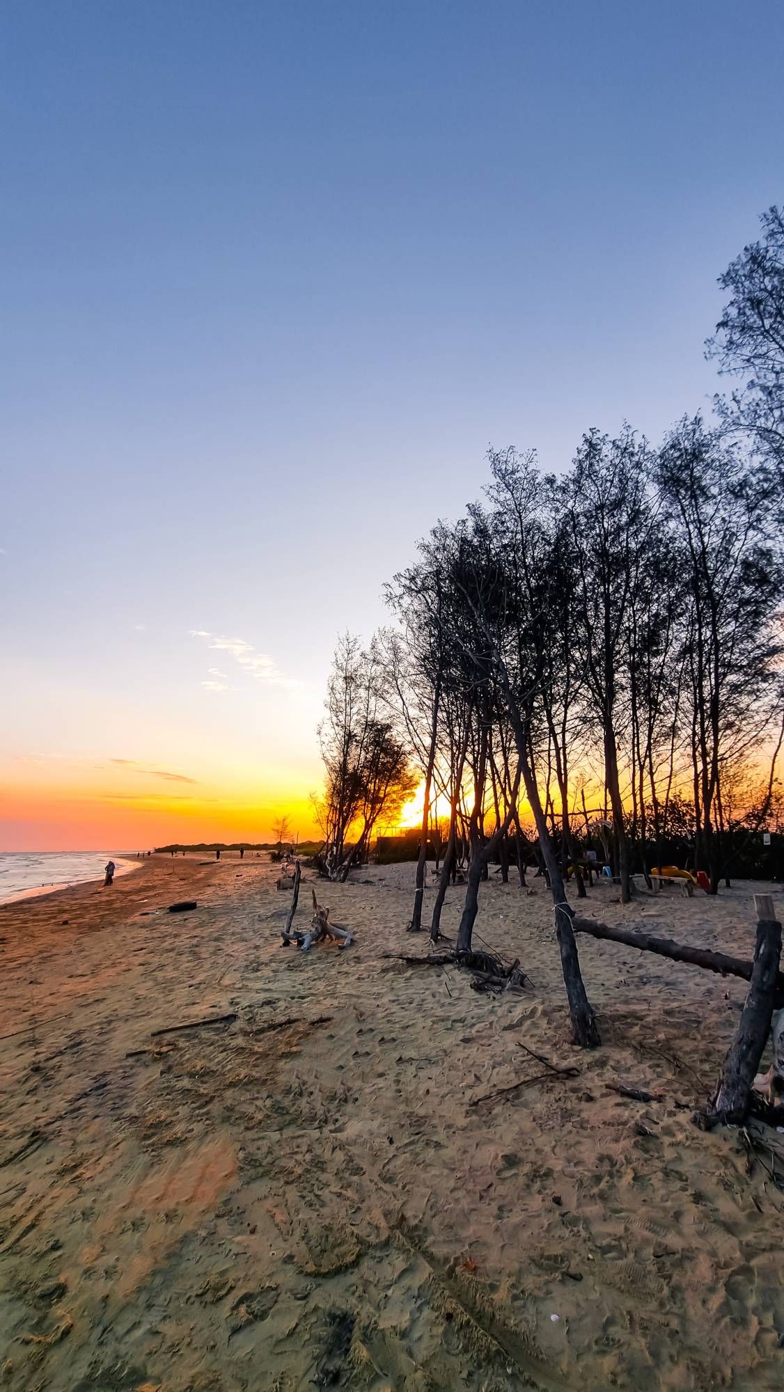 Sore itu - Samsung Members