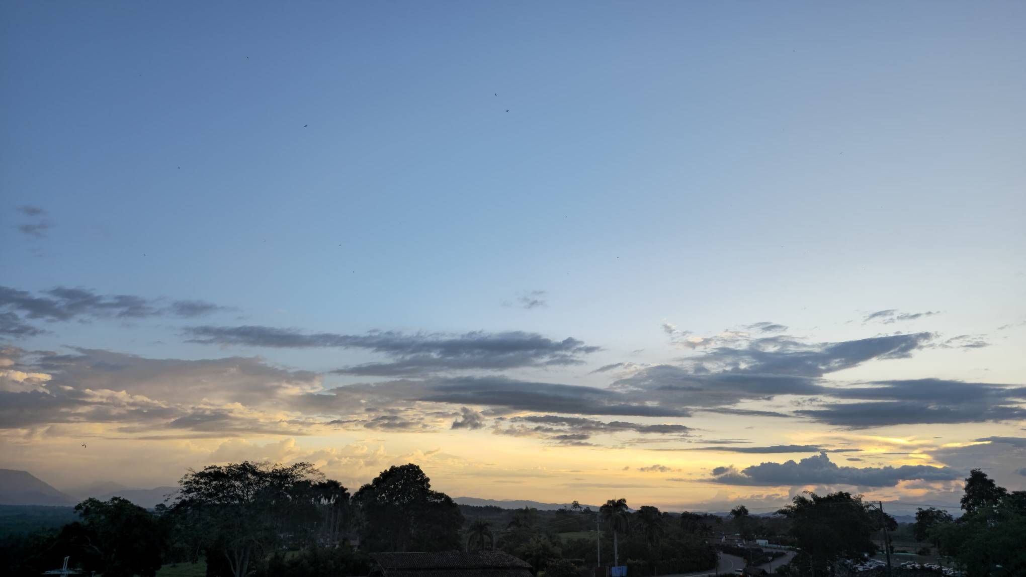 Foticos📸 - Samsung Members