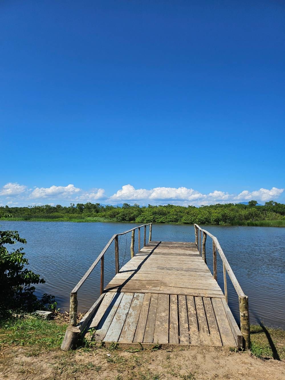 RIO - Samsung Members