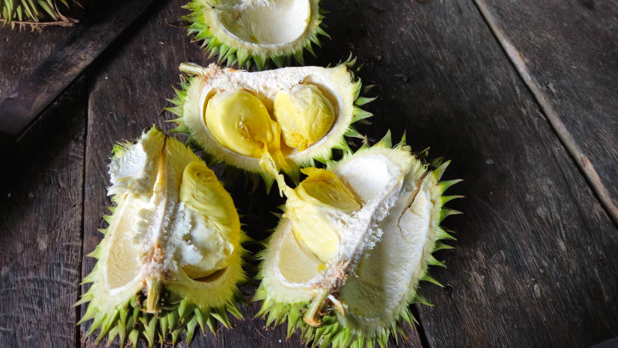 Durian hutan kalimantan - Samsung Members