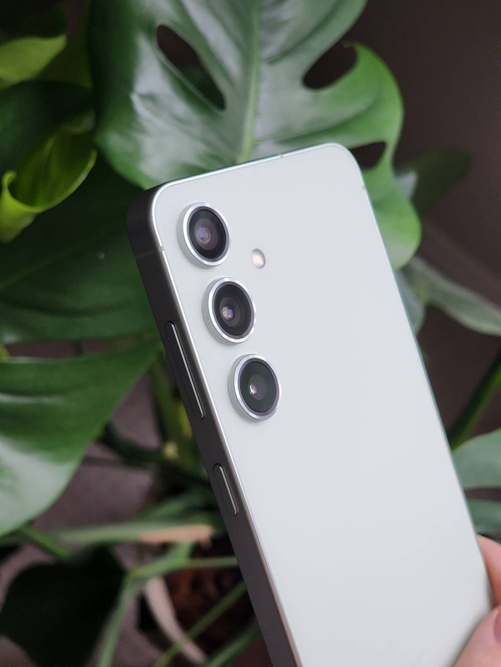 Jade Green S24 - Samsung Members