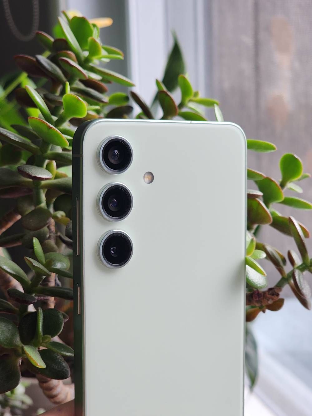 Jade Green S24 - Samsung Members