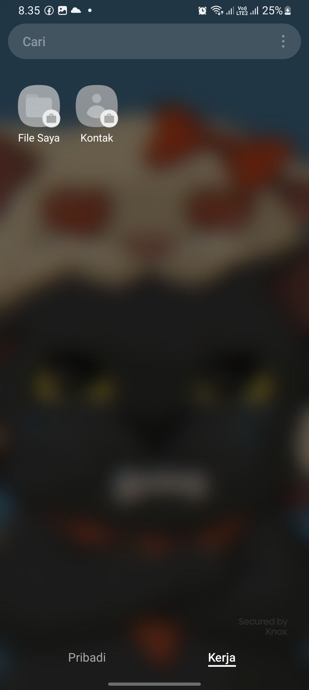 Work profile - Samsung Members