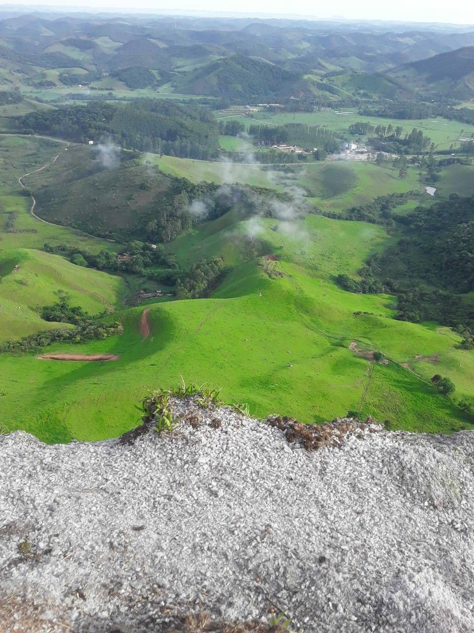 Pico cabeça da formiga 🐜 - Samsung Members