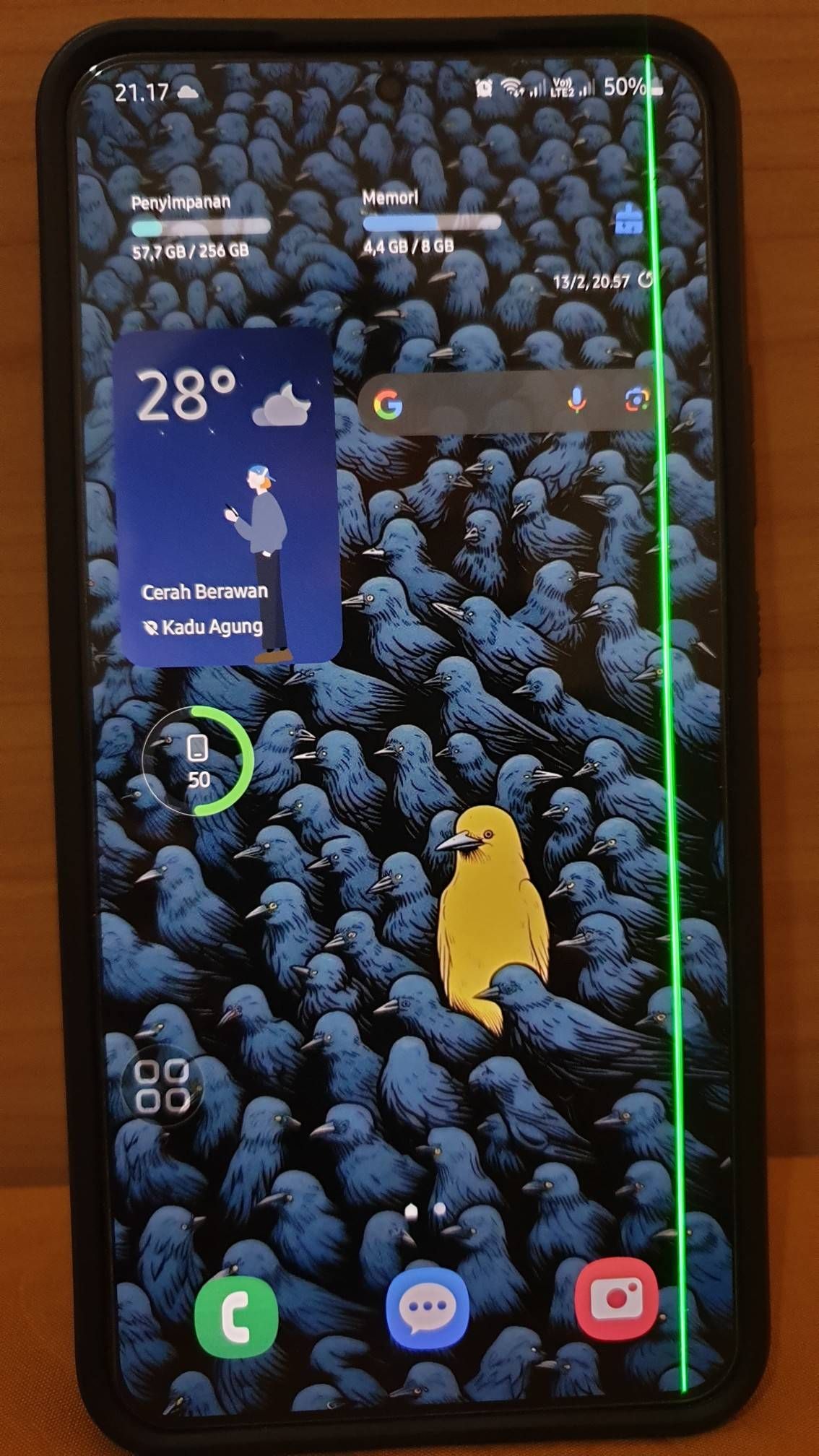 SAMSUNG S22+ GREEN LINE/GARIS HIJAU - Samsung Members