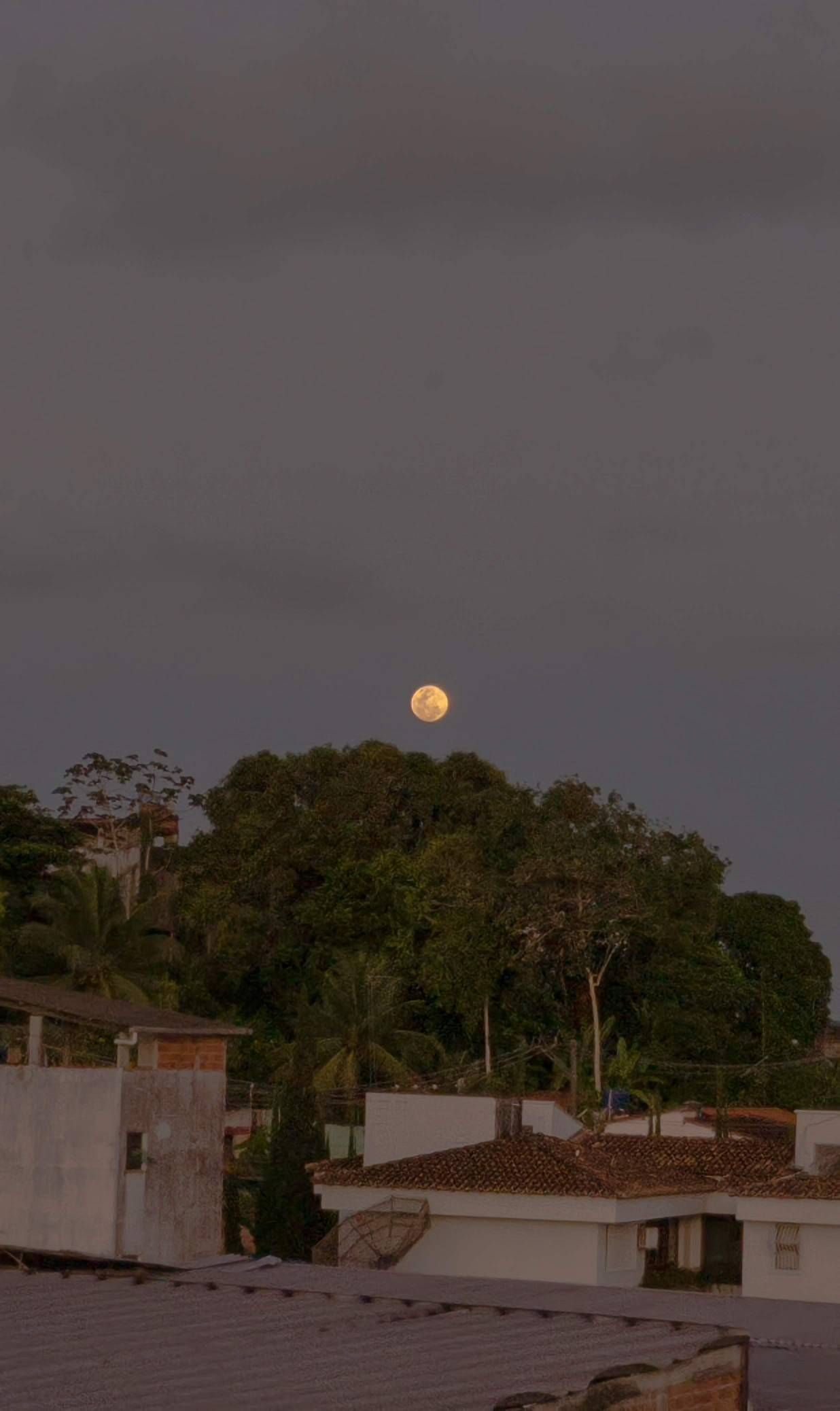 A lua - Samsung Members