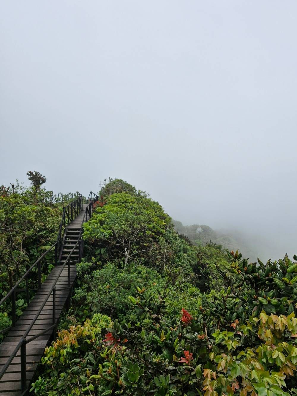 UTHD - Samsung Members