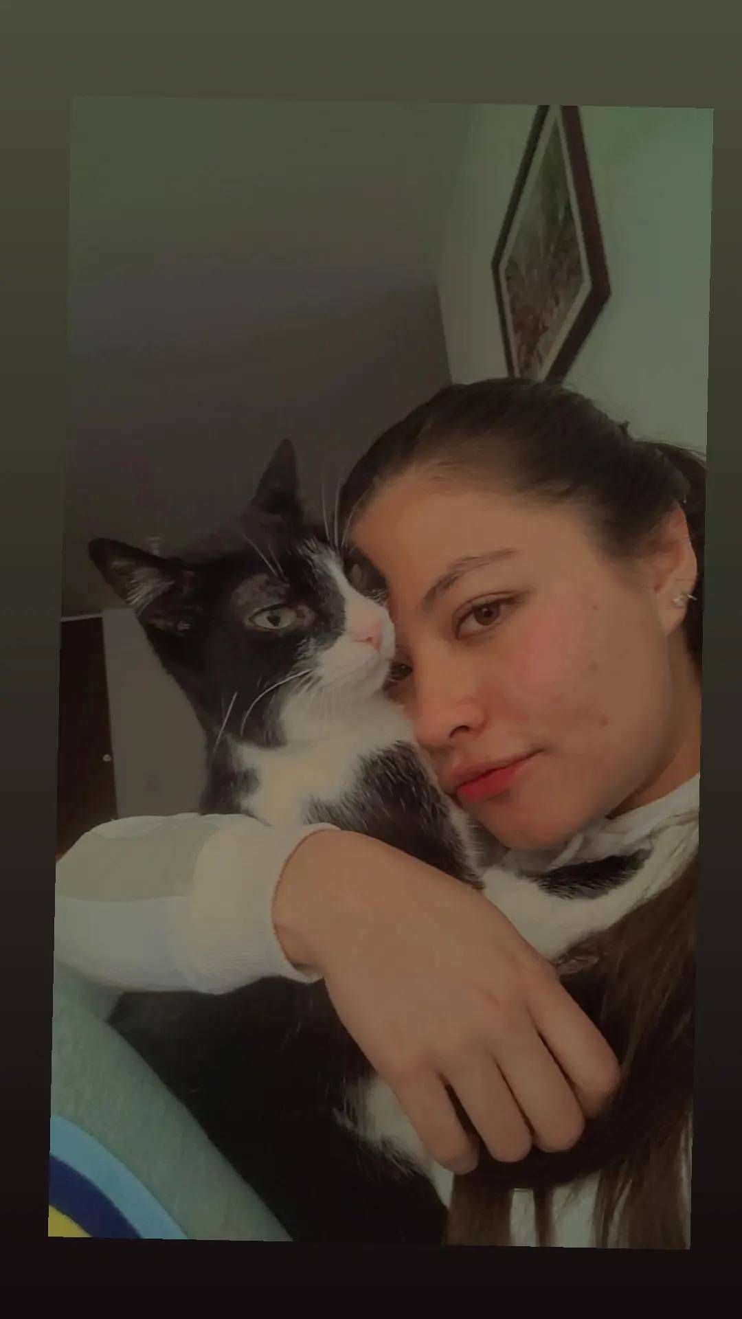 Michi Meme - Samsung Members