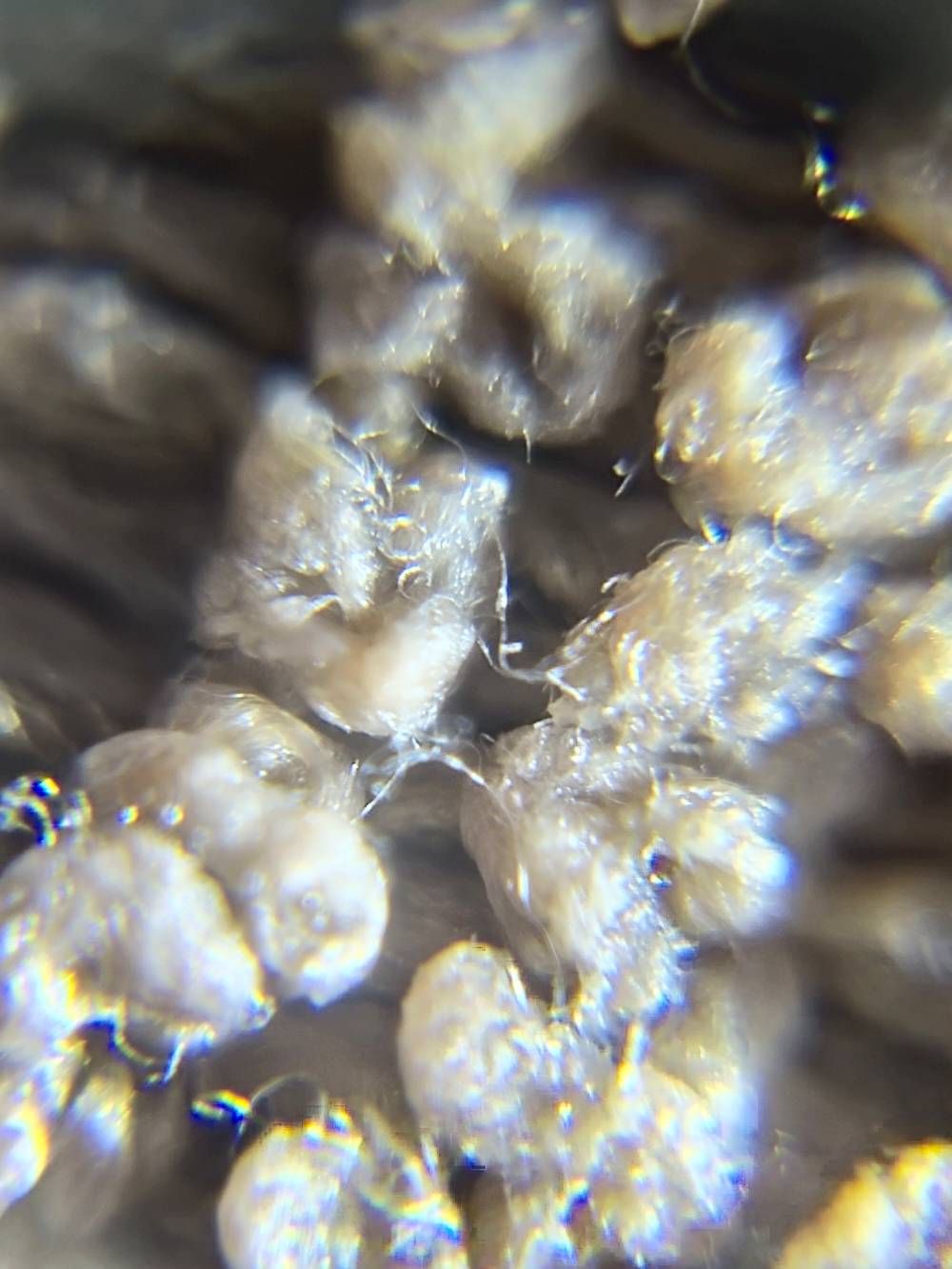 Microscope - Samsung Members