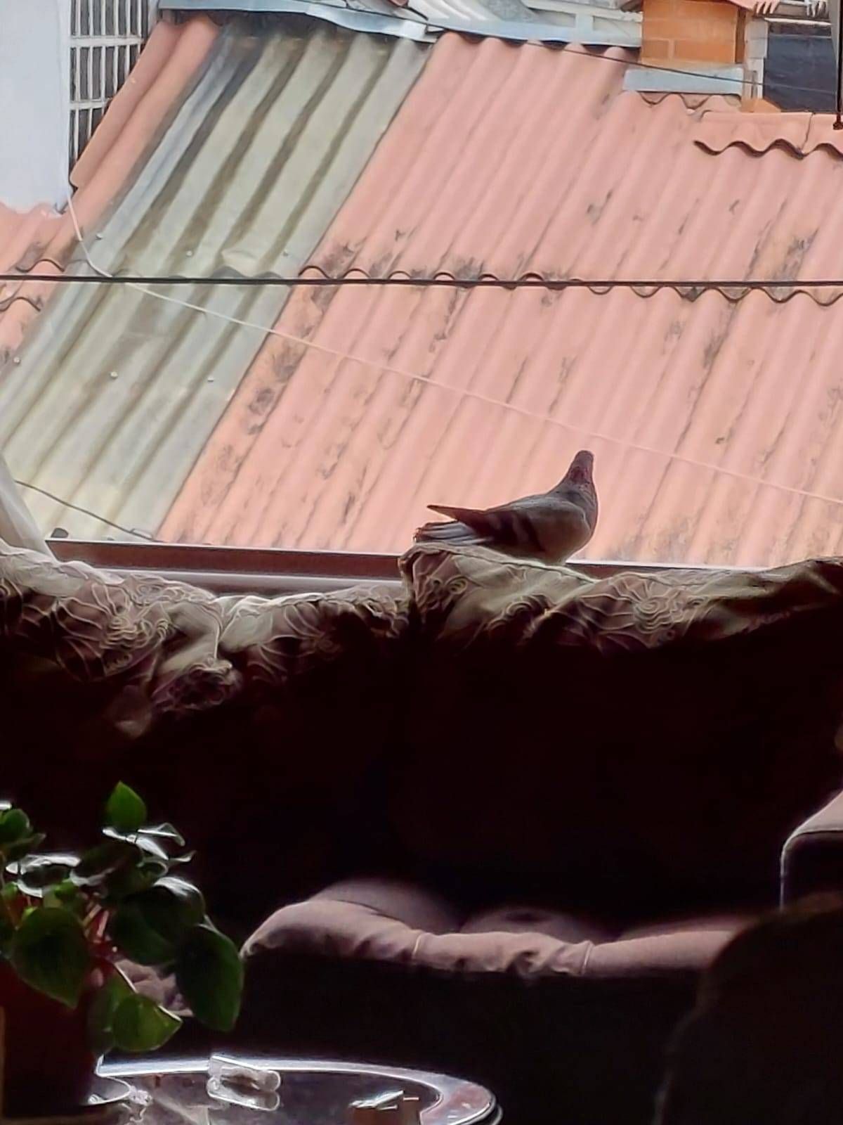 #DíaDelTeatro - Samsung Members