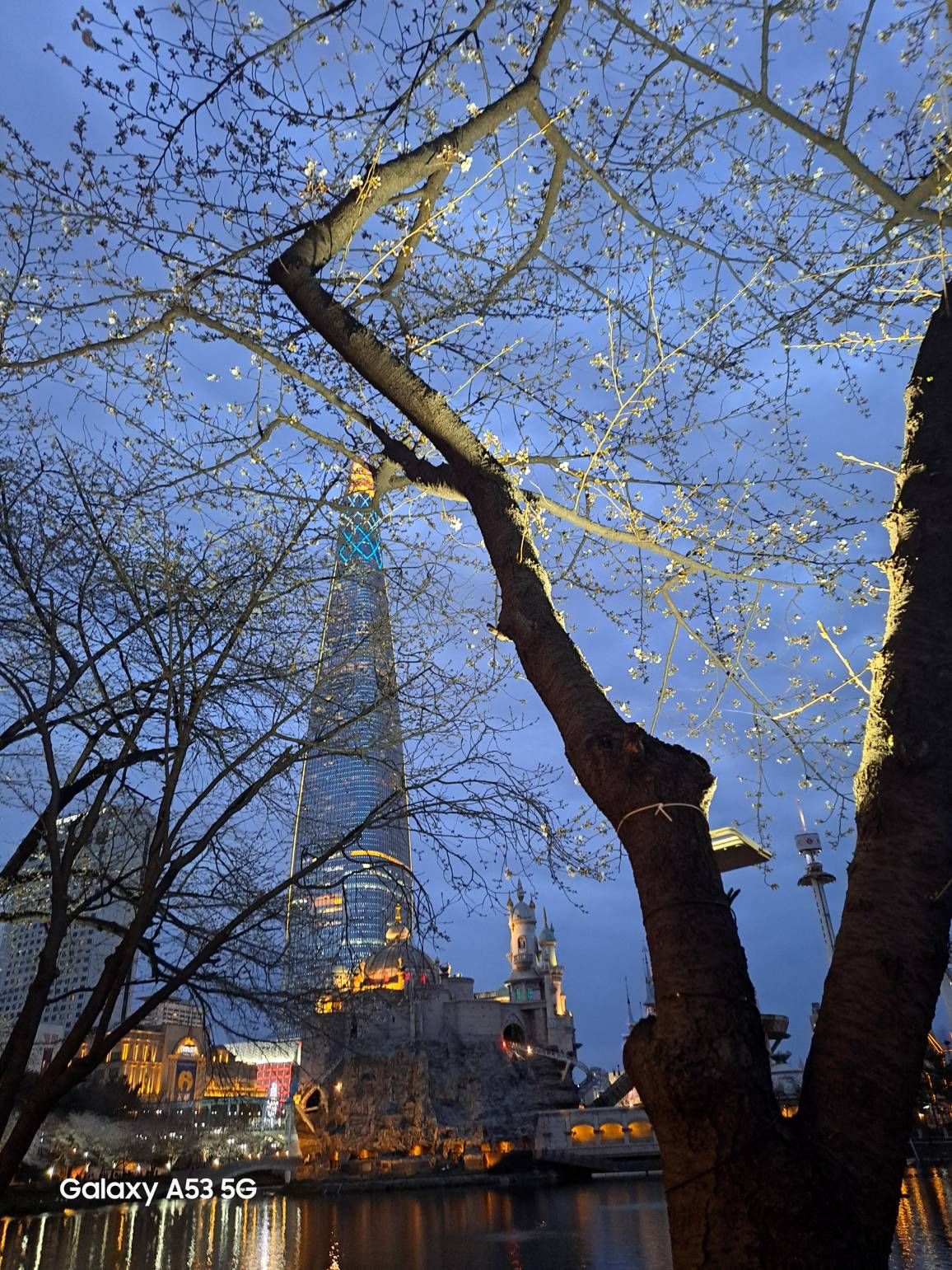 석촌 호수 벚꽃(데이터,스압주의) 사진28장 - Samsung Members